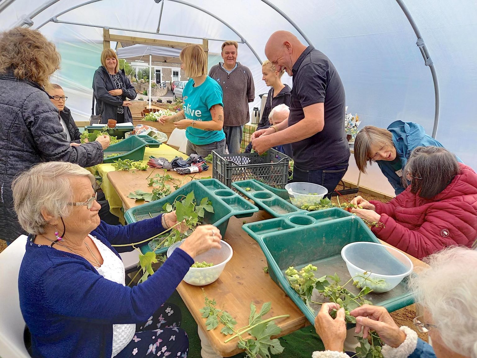 Stanley’s Garden – Alive Activities