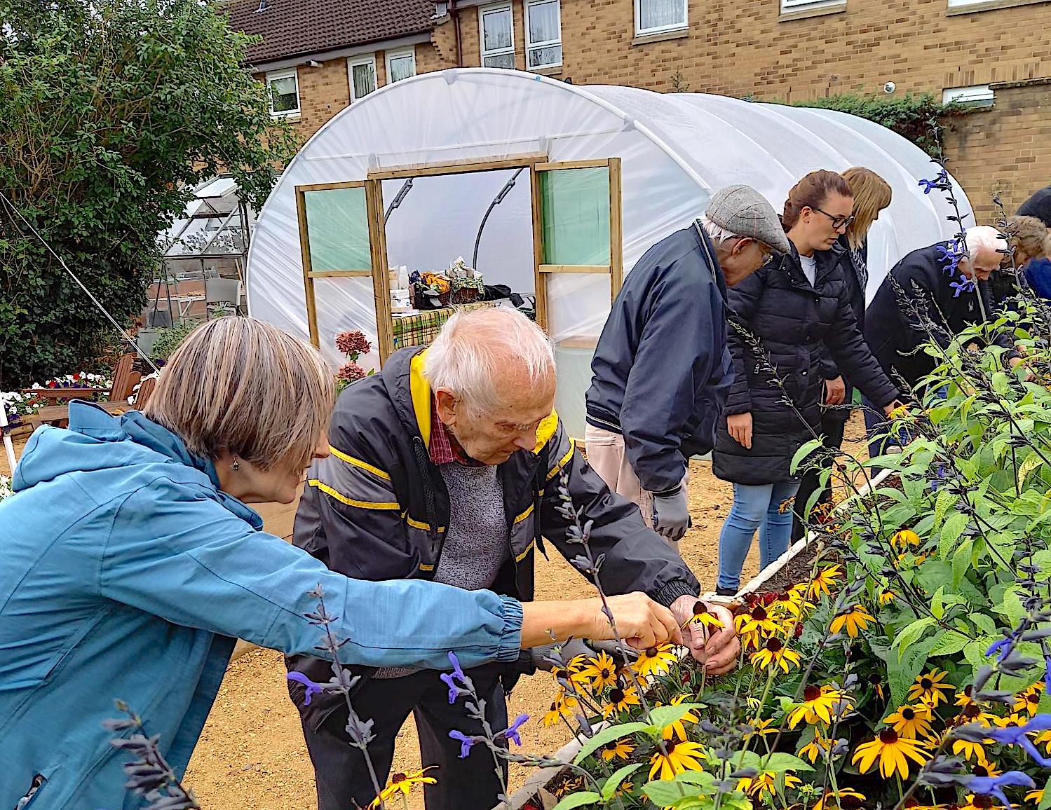 Stanley’s Garden – Alive Activities