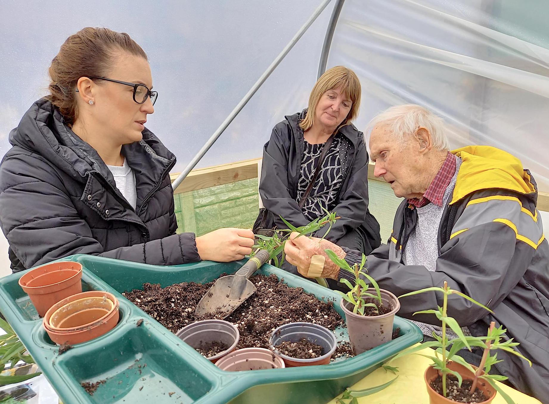 Stanley’s Garden – Alive Activities