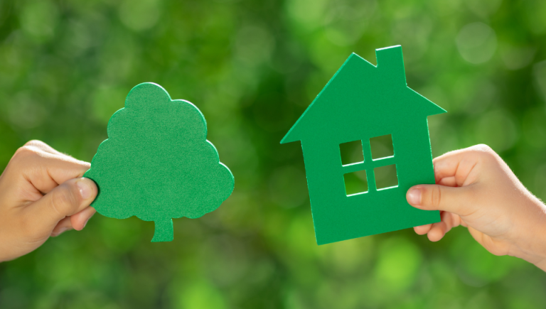 Alive Activities – Lighting up later life