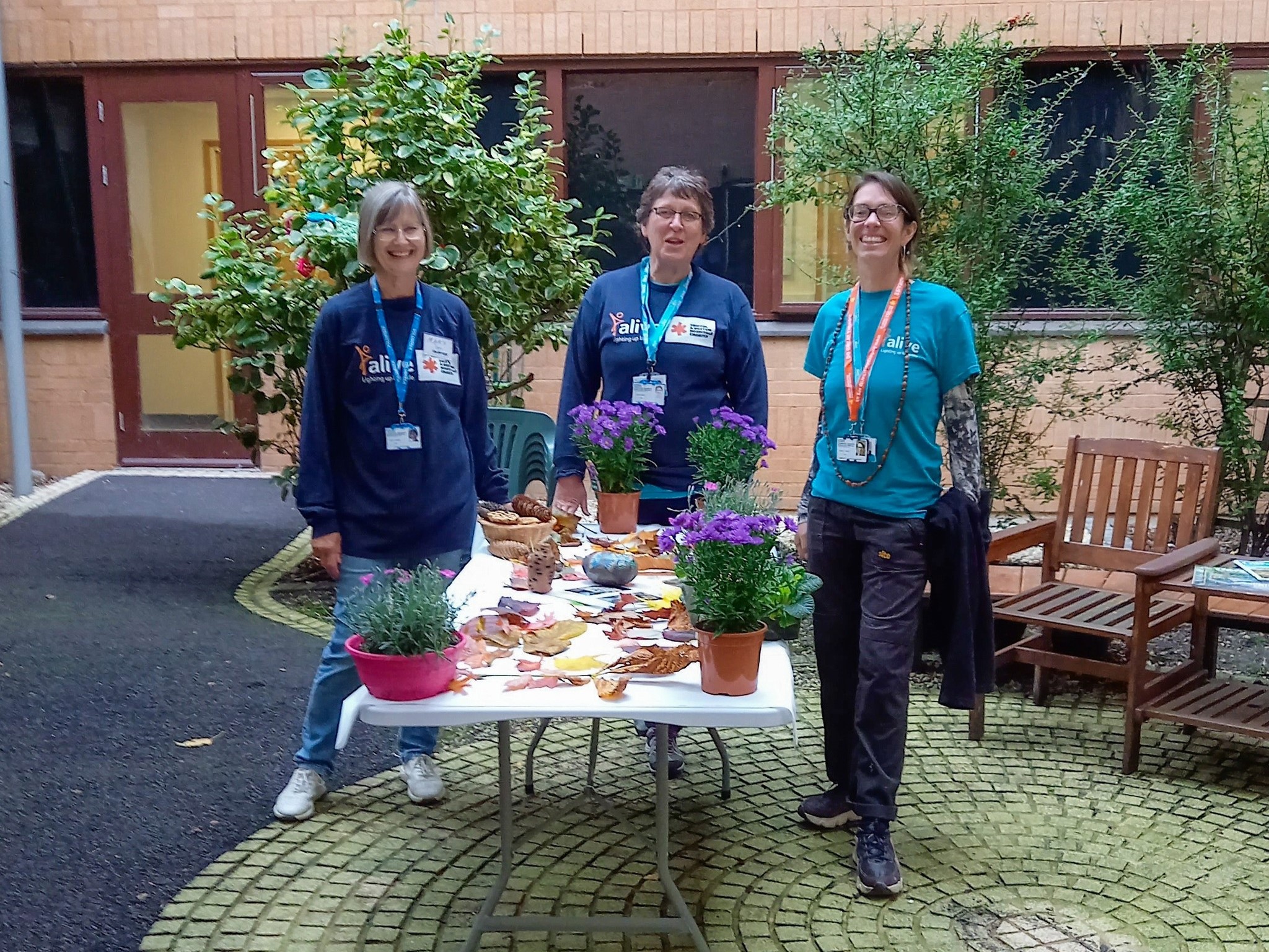 BRI & Weston Hospital Gardens – Alive Activities