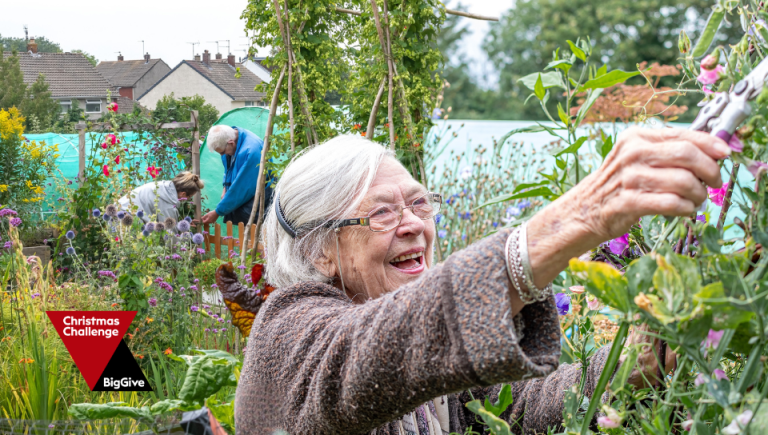 Alive Activities – Lighting up later life